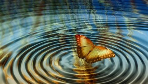 Apa Itu Butterfly Effect Dan Bagaimana Contohnya Belajar Sampai Mati