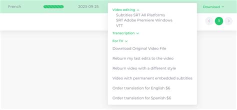 How To Add Embedded Subtitles To Your Videos Par Soustitreur Service