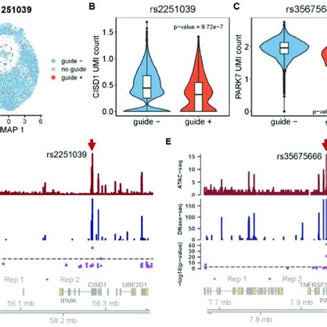 identification of causal variants by expression crop seq a nonlinear