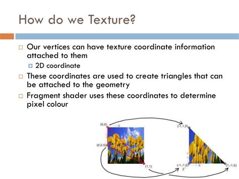 PPT Texturing PowerPoint Presentation Free Download ID