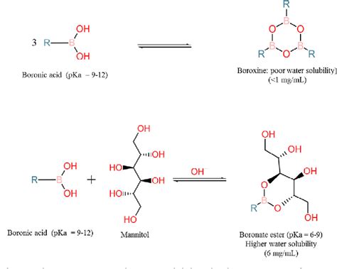 Figure 1 From Development And Characterization Of Liposomal Formulation Of Bortezomib Semantic