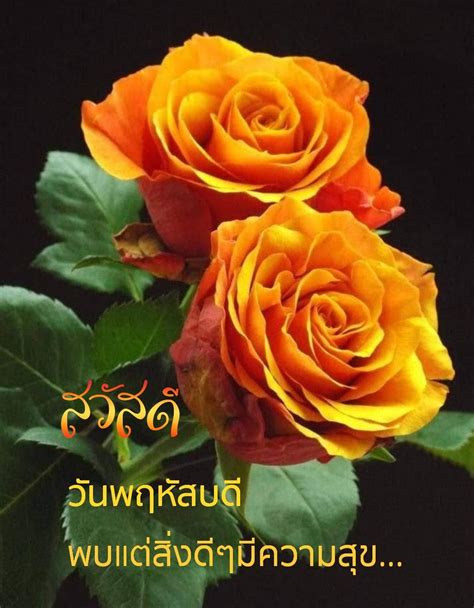 ปักพินในบอร์ด วันพฤหัสบดี ฝันดีราตรีสวัสดิ์ ดอกไม้สีม่วง มีความสุข