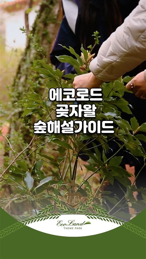 전문 해설사가 안내하는🕵️ 신비의 숲 곶자왈 여행🌳 숲을 거닐며 오감을 즐기는 자연의 아름다운 생태계 애코랜드에서 즐기는 특별한