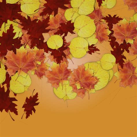 Autumn Leaf Reveal PowerPoint Progressive Church Media