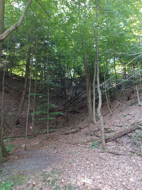 20221005 144056 Thomas Van Bemmelen Flickr