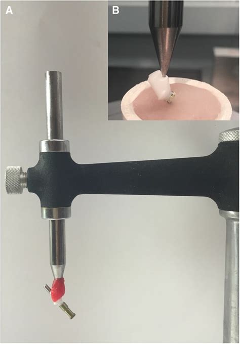 A Custom Made Mounting Transfer Jig And B The Specimen Positional Download Scientific