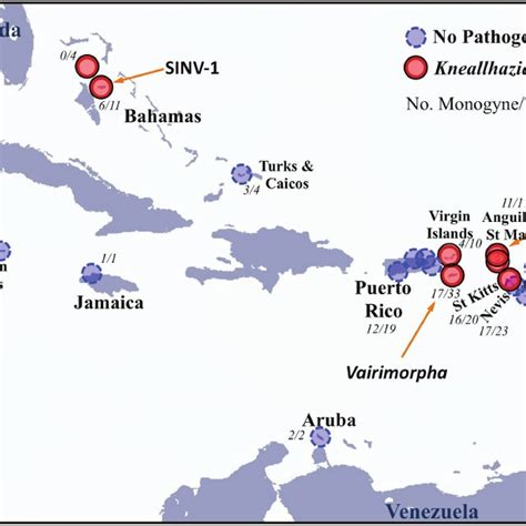 Distribution Of 2 Fire Ant Microsporidian Pathogens Kneallhazia