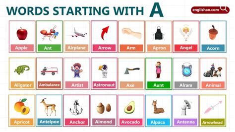 Words That Start With A 400 A Words In English • Englishan