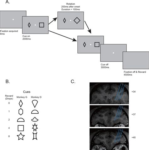 Figures And Data In Covert Shift Of Attention Modulates The Value Encoding In The Orbitofrontal