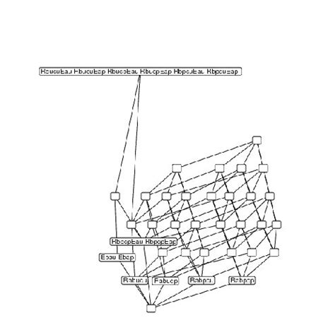 Fig A Hasse Diagram Of Organisations Of The Counterexample Only Download Scientific