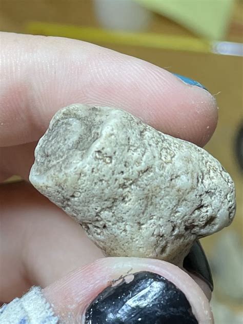 Beekitized Stromatoporoid Sponge Fossil Id The Fossil Forum