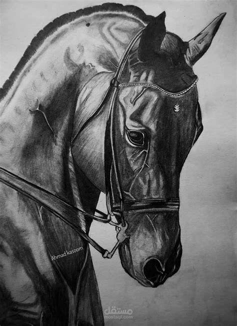 رسمة حصان مستقل
