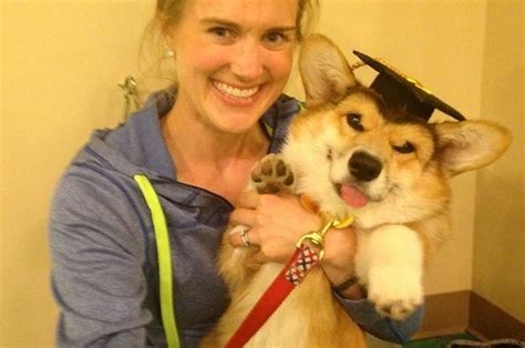 16 Corgis Who Promise Not To Trip The Queen