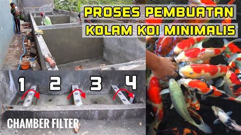 Kolam Koi Minimalis Proses Pembuatan Chamber Filter Agar Filterasi Maksimal Mudah Dalam