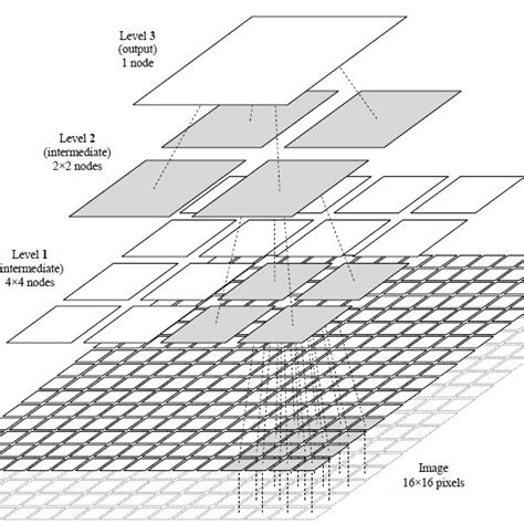 The Hierarchical Nature Of The Hierarchical Temporal Memory Networks Download Scientific Diagram