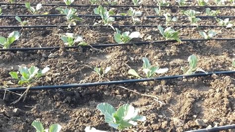 Капково напояване Youtube