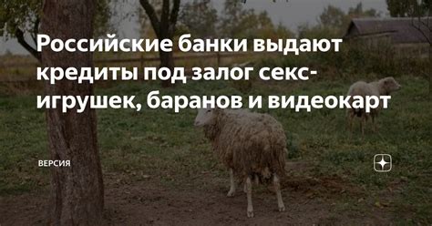 Российские банки выдают кредиты под залог секс игрушек баранов и видеокарт Версия Дзен