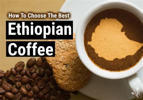 Best Ethiopian Coffee Beans Top Brands Reviewed Kitchensanity