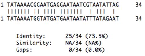 序列差异和dn Ds的计算 知乎