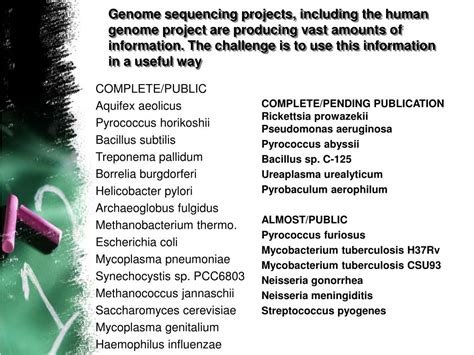 PPT Bioinformatics PowerPoint Presentation Free Download ID 4415797