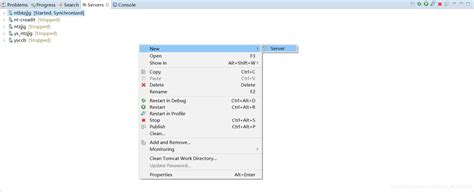 Setting Property Source To Org Eclipse Jst Jee Server XXX Did Not Find A Matching Property