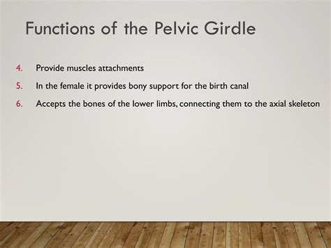 Pelvic Girdle And Hip Joints Of Lower Limb Ppt