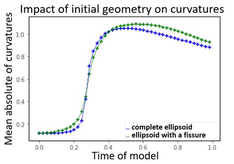 25 1 St Column The Pink Area Is Used To Calculate The Mean