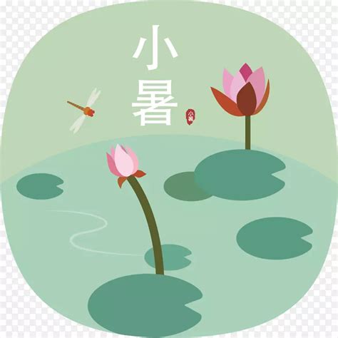 中国传统节气小暑插画png图片素材下载图片编号yezonplq 免抠素材网