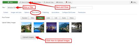How To Create Blog In Joomla ThemeXpert