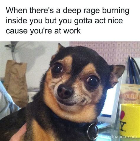 50 Workplace Memes To Cackle At Whilst You Ignore Your Responsibilities Bored Panda