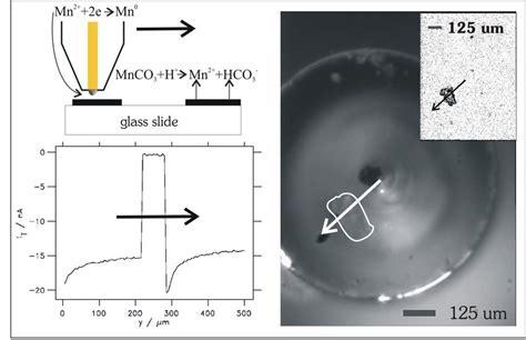 Measurement Scheme Of Scanning Electrochemical Microscopy Secm Download Scientific Diagram