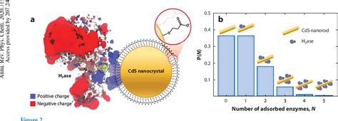 Figure 2 From The Exploration Of Chemical Reaction Networks Semantic Scholar
