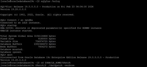 Mohammed Anzar Khan On Linkedin Applying Oracle Database 19c Release Update Patch Non Cdb