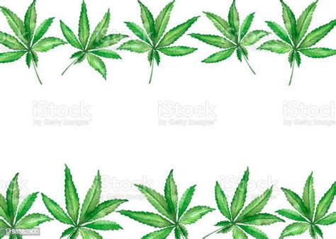 수채화 손 그린 자연 초본 식물 배너 프레임 구성 녹색 대마 잡초 잎은 텍스트에 대한 공간과 초대 및 인사말 카드에 대한 흰색 배경에 고립 된 나뭇잎 0명에 대한 스톡 벡터