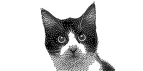 Jérémie Piellard · Portfolio Of Webgl And Webgpu Projects