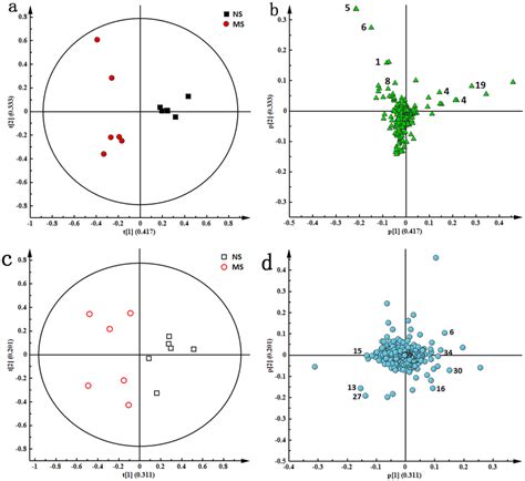PCA Score Plots A C And Corresponding Loading Plots B D Based On Download Scientific