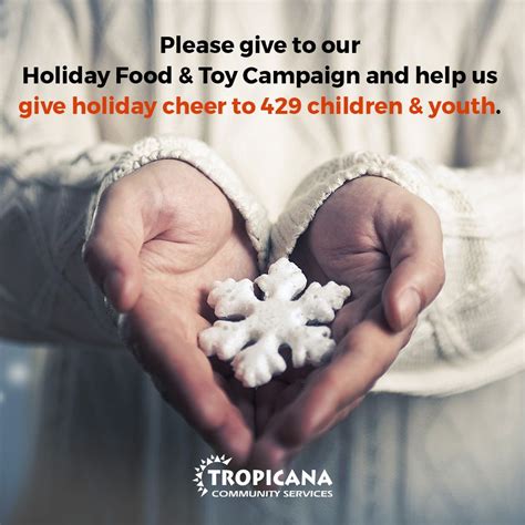 Holidaycharity Holidaygiving Holidaydonations Toydrive Fooddrive