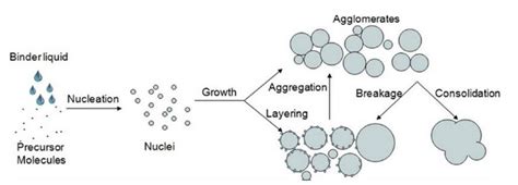 Wet Granulation Flow Diagram