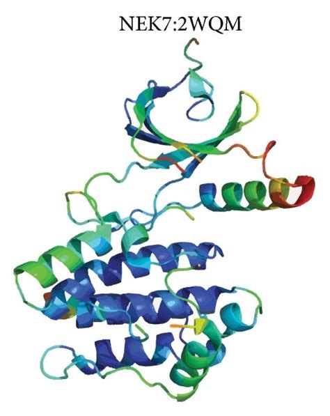 Functional Dynamics And Protein Mobility Maps Of The Cdk And Nek