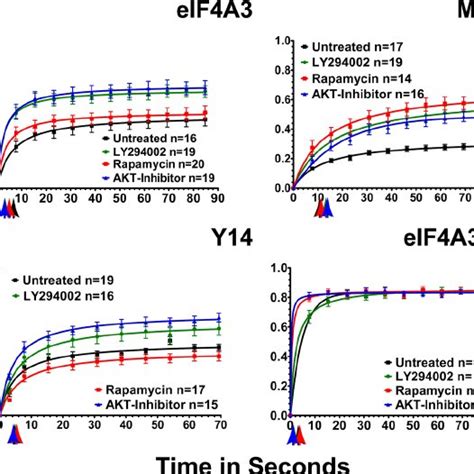 The Separation Of Nuclear And Cytoplasmic Rna A The Fidelity Of