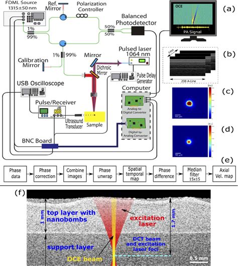 Figure 1 From Repetitive Optical Coherence Elastography Measurements