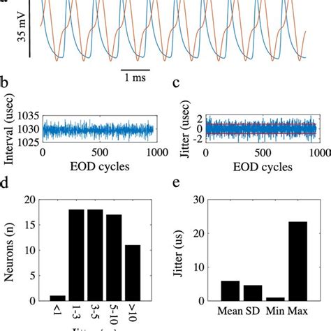Receptive Field Analysis In A Single Neuron A The Intracellular