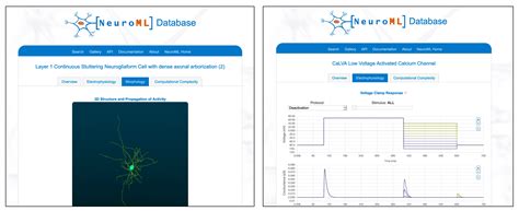 Finding And Sharing Neuroml Models — Neuroml Documentation