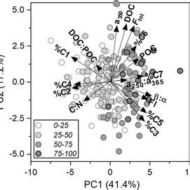 Graphical Representation Of PCA Results Including Loadings Plot For Download Scientific