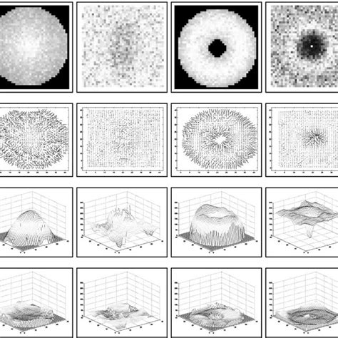 Surface Reconstruction For Noisy Data Top Row Initial Images Second Download Scientific
