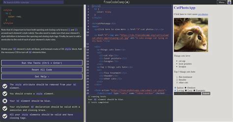 your h2 element should be blue error html css the freecodecamp forum