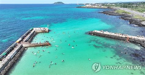 제주 판포포구 스노클링 인기