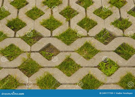 Walkway With Green Grass In The Park Stone Pathway And Green Grass At