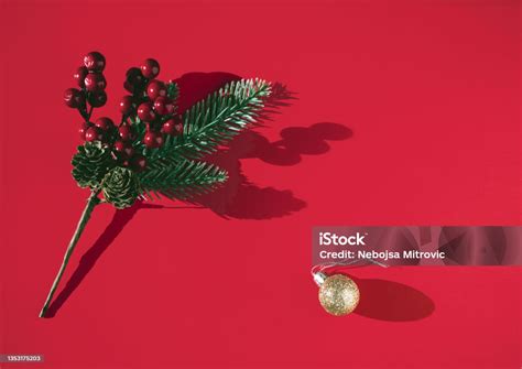 소나무 나뭇가지 붉은 열매 장식 공은 파스텔 빨간 배경에 누워 있다 최소한의 평지 구성 크리스마스와 새해 장식 개념 0명에 대한 스톡 사진 및 기타 이미지 Istock