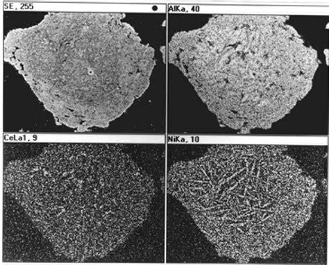 Elemental Distribution Maps From The Al 14ni 14mm Alloy Powder Download Scientific Diagram